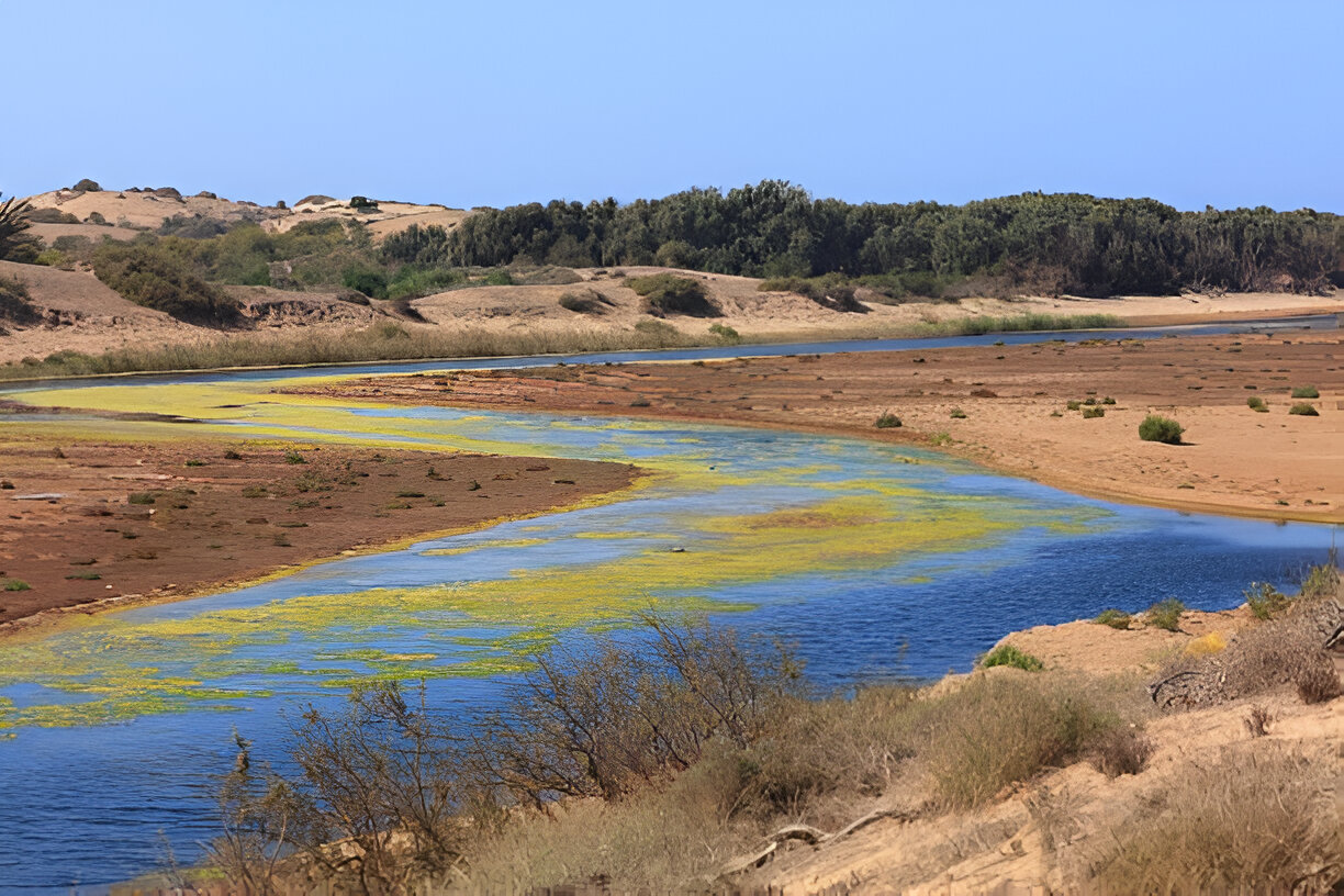 Visit Souss - Your Travel Guide to Morocco's Souss Valley 2025 ...